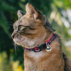MLB CAT COLLAR. - ATLANTA BRAVES CAT COLLAR. - Strong & Adjustable BASEBALL Cat Collars with Metal Jingle Bell