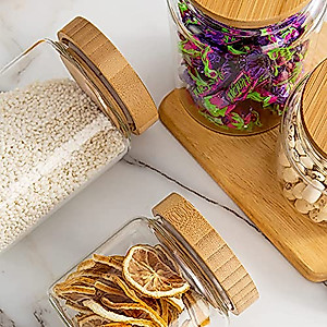 MOLADRI 480ML/16Oz Clear Cute Glass Storage Canister Holder with Airtight Bamboo Lid, Modern Decorative Small Container Jar for Coffee, Spice, Candy, Salt, Cookie, Condiment, Pepper, Sugar