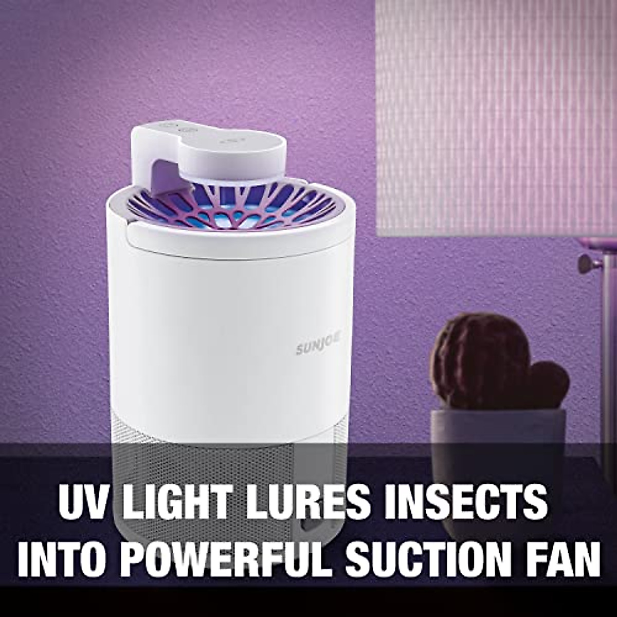Sun Joe SJ-BZ15W-WHT UV Indoor Insect Fruit Fly Trap for Small Flying Insects, Non-Toxic UV Light, Non-Zapper, Bug Light w/10-Sticky Glue Traps Included, White