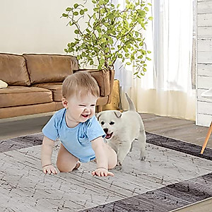 RUGSREAL Modern Geometric Indoor Area Rug Stain Resistant Washable Rug Anti Slip Low Profile Pile Bordered Area Rug Contemporary Rug for Living Room Bedroom Kids Room, 4' x 6' Taupe