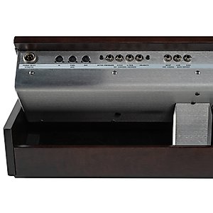 Moog Minimoog Model D Analog Synthesizer - Appalachian Cherry
