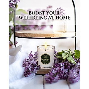 Veda Tinda Scent Candles for Home Scented, Lavender Vanilla Clove Jasmine Natural Beeswax Aromatherapy Glass Jar Candles for Relaxing, Candles Gifts Set for Women, 4-Pack Up 80 Hours Long Lasting