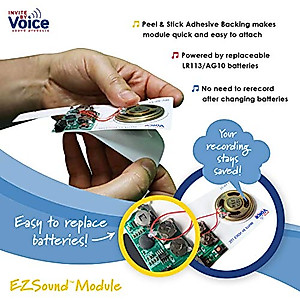 EZSound Module for DIY Audio Cards - Easy to Record - 120 Seconds Recording - High Sound Quality