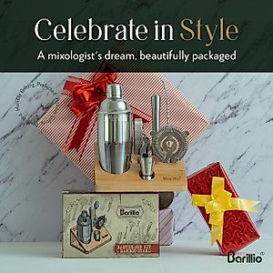 Barillio Bartender Kit - Stainless-Steel Cocktail Shaker Set with Bamboo Stand - Mixology Bar Tools w/Shaker, Drink Mixer Spoon & Muddler for Cocktails - Home Bar Accessories - 10-Pc Bar Set - Silver