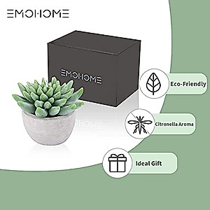 EMOHOME Citronella Aroma Candles, Succulent Candle Set with Terracotta Pots for Home and Party Decor, Festival Presents, Birthday Gifts.Gift.