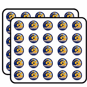 Round Surfer On Wave SAN Diego California (Surfing surf Beach) Sticker for Scrapbooking, Calendars, Arts, Kids DIY Crafts, Album, Bullet Journals 50 Pack