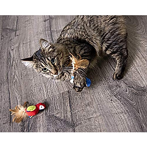 Petlinks Parrot Tweet Electronic Sound Cat Toy, Catnip Filled, Battery Powered - Randomly Selected Color, One Size