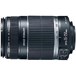 Canon EOS Rebel T7i Digital SLR Camera 1894C002 with EF-S 18-55mm IS STM + 64GB (EF-S 55-250mm Telephoto + EF 50mm STM) Triple Lens Exclusive Bundle