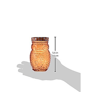 Style Setter Owl Colors Jars with Lids (Set of 6), Multicolor