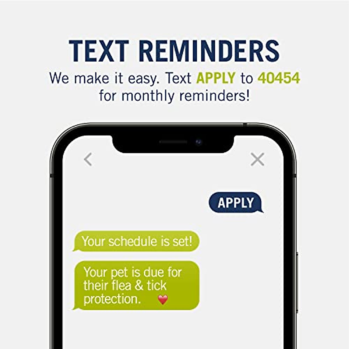 PetArmor Plus for Cats, Flea & Tick Prevention for Cats (Over 1.5 lb), Includes 6 Month Supply of Topical Flea Treatments, white, 6 count