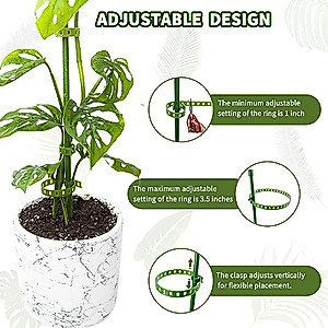 HYYZ Plant Stakes-2pcs 21inch Trellis for Climbing Plants Outdoor, Customizable Peony Cages and Supports, Adjustable Small Tomato Cage, Stackable and Assembleable Garden Trellis in Various Styles.