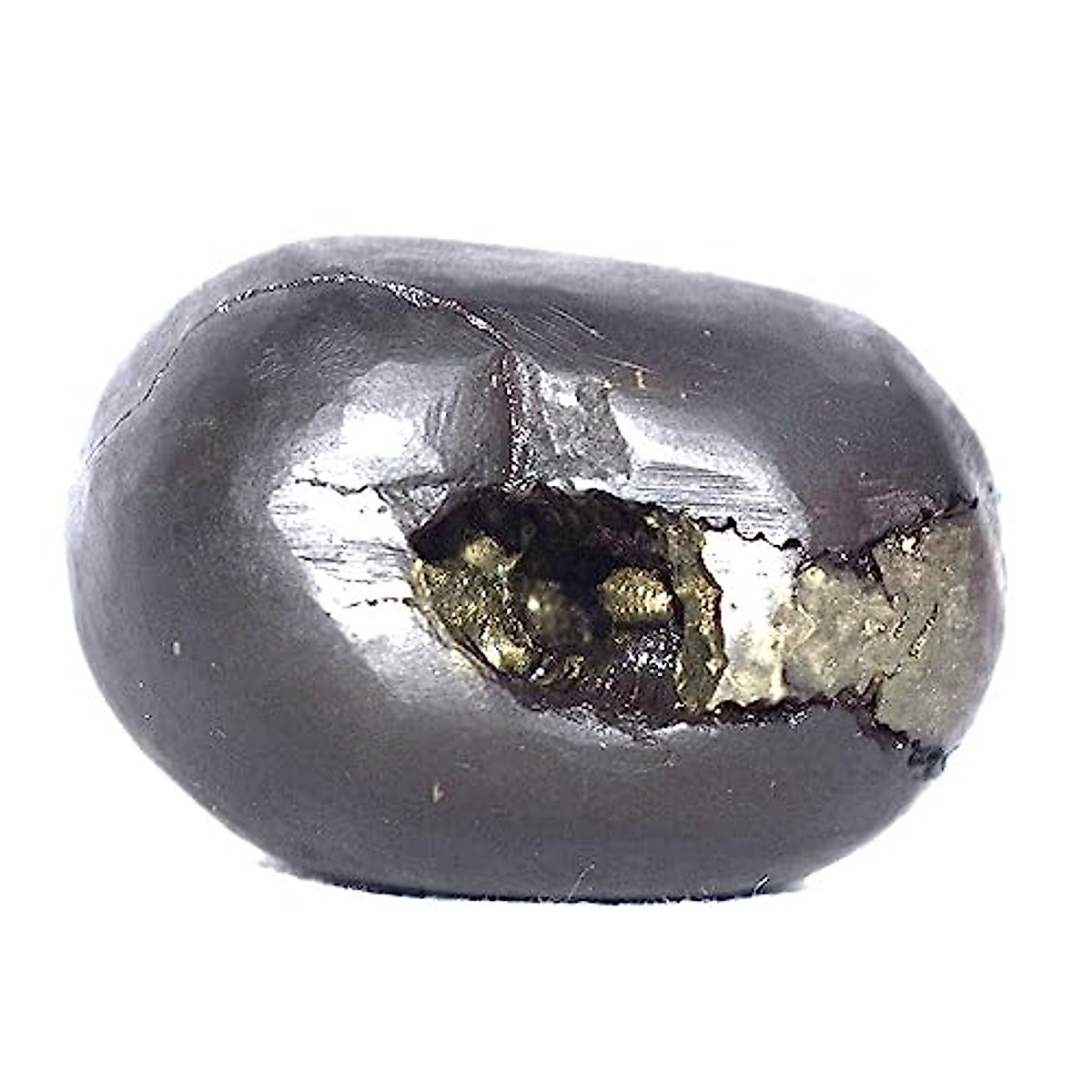 Rudrakshguru Laxmi Narsimha Shaligram