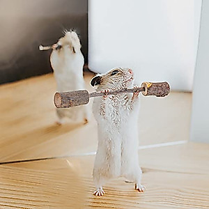 DAMPET Hamster Chew Toys, Hamster Activity Toys, Gerbil Rat Guinea Pig Chinchilla Chew Toys, Toys Accessories for Teeth Care,Natural Apple Wood Toys for Hamster, Rabbits, Bunny, Gerbil (Style 3)