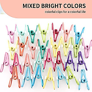 Zalduig Chip Clips，30PCS PVC Coated Material Food Packaging Clip, Clips Bag Clips，Bag Clips，Clips for Package，Chip Clip，Clothes Pins（Mixed Colors 30pcs） ,11.5 x 4.72 x 1.06