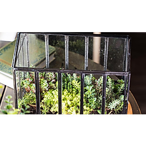 Urban Born Large Indoor Greenhouse Shape Terrarium — 10" x 6" x 10" (Black)