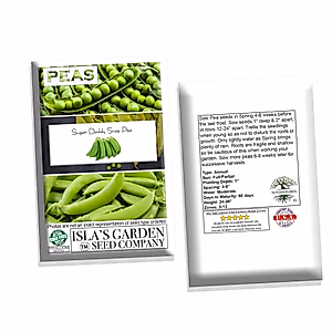Sugar Daddy Snap Pea Seeds for Planting, 50+ Heirloom Seeds Per Packet, (Isla's Garden Seeds), Non GMO Seeds, Botanical Name: Pisum sativum, Great Home Garden Gift