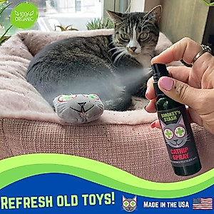 Smokey's Stash Cat Catnip Spray and Dried Organic Catnip Combo Maximum Potency cat nip Bundle
