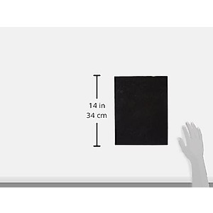 Fellowes AeraMax 200 Air purifier Authentic Carbon Replacement Filters - 4 Pack (9324101)