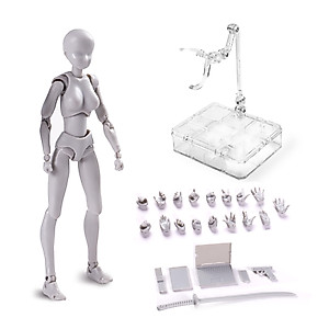 Action Figures Body Kun DX & Body-Chan DX PVC Figure Model Drawing for SHF S H Figuarts (Female+Male) with Box