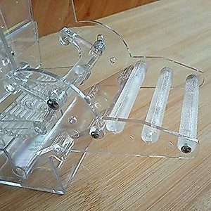 Danlince No Mess Bird Feeder for Cage,Free Install Parrot Automatic Foraging Systems with Perch Cage Accessories for Budgerigar Canary Cockatiel Finch