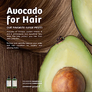 Common Ground Volumizing Natural Shampoo and Conditioner Set, Paraben and Cruelty Free, Organic, Vegan, Plant-Based Ingredients, Botanical Scent and Avocado Oil Extract, for Men, Women