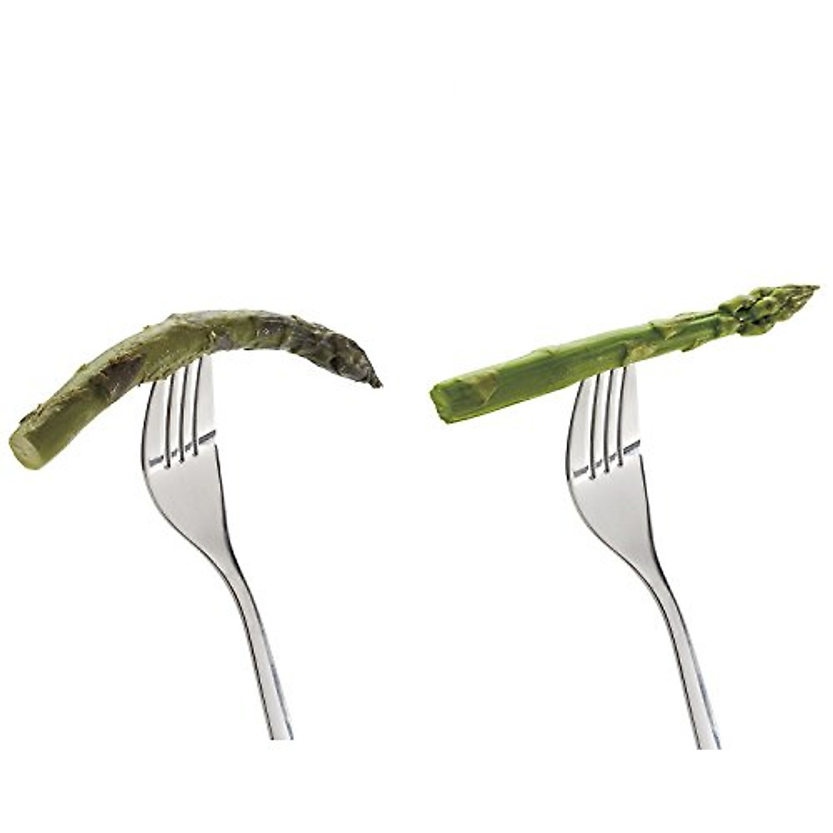 Hamilton Beach Professional Sous Vide Water Oven & Slow Cooker, 6 Quart Programmable, Stainless Steel (33970)