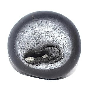 Krishna Shaligram/Santan Gopal Shaligram