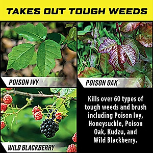 Ortho GroundClear Poison Ivy & Tough Brush Killer - Ready to Use with Comfort Wand, Poison Ivy Killer, Also Kills Poison Oak, Kudzu, Wild Blackberry, Vines & More, 1.33 gal.