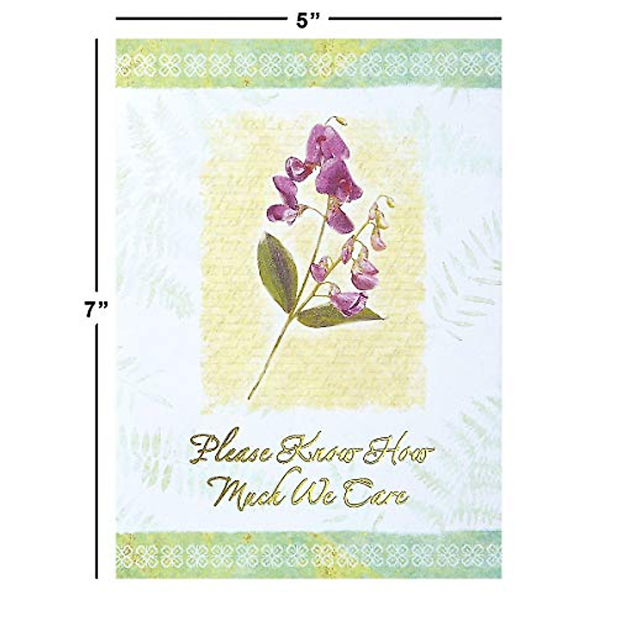 Current Deluxe Foil Sympathy Greeting Cards Value Pack - Set of 16 (8 designs) Large 5 x 7, Foil & Embossed Accents, Sentiments Inside, Thinking of You in Sympathy Cards, Envelopes Included