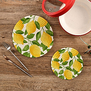 ALAZA Tree Lemon Fruit Yellow Pot Holders Trivets Set 2 Pcs Trivets Cotton Potholders Coasters Hot Pads Hot Mats for Cooking Kitchen