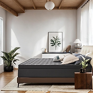 MRH Mattress, 12 Inch Euro Top Mattress in a Box,Memory Foam Hybrid Mattresswith Individually Pocket Springs,Med，Pure Black (Pure Black, King (U.S. Standard)), PM2404