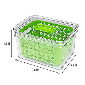 Goodful Produce Keeper, Adjustable Air Vents, Removable Insert/Colander, Durable Food Safe Material, Stackable, Clear and Green, Small, 7.6" x 5.6" x 4.2", Two Pack
