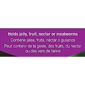 Heath Outdoor Products CF-133 Clementine Oriole Feeder , orange