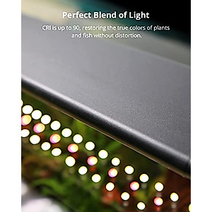 NICREW RGB+W 24/7 LED Aquarium Light with Remote Controller, Full Spectrum Fish Tank Light for Planted Freshwater Tanks, Planted Aquarium Light with Extendable Brackets to 18-24 Inches, 17 Watts