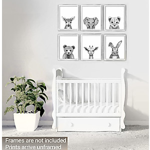 Baby Animal Nursery Prints |Set of 6| Neutral Woodland and Safari Artwork for Wall Decor (11in x 14in)