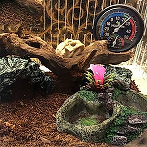 Resin Reptile Platform Artificial Tree Trunk Reptile Food Dish Food Water Bowl Lizard Crawling Platform for Lizard Turtle Gecko Water Frog Snake Amphibian Other Reptile