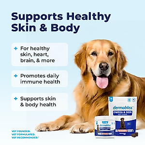 Vetnique Dermabliss Omega & Skin Health Fish Oil for Dogs Soft Chews Healthy Skin & Coat for Dogs with Biotin & DHA - Hickory Salmon Dog Treats (60ct Chews)