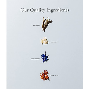 Art of Tea | Organic White Coconut Crème | 12 Count Eco Friendly Sampler Box Assortment | Premium Caffeinated Organic White Tea Variety | Biodegradable Sachets