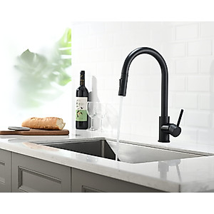 Kitchen Faucet with Purifier Faucet Matte Black Color