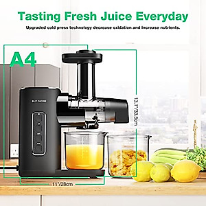 BLITZHOME Cold Press Juicer machines, 2-Speed Modes Slow Masticating Juicer for Vegetable and Fruit, with Quiet Motor/Reverse Function/Wide 1.73" Feed Chute, Easy to Clean