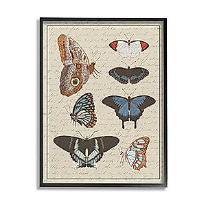 Stupell Industries Butterfly and Moth Study Vintage Cursive Script, Designed by Daphne Polselli Black Framed Wall Art, 24 x 30, Multi-Color