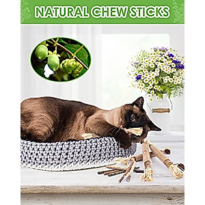 Silvervine Sticks for Cats, TINDTOP 10 Pack Natural Catnip Chew Toys for Kittens Teeth Cleaning, Matatabi Dental Care, Increase Appetite, Calm Cat Anxiety and Stress, Aggressive Chewers Cat Dental Toy