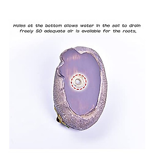 Novelty and Cute White Rabbit and Snail Flowerpot with Drainer Garden Flowerpot Resin Succulent Potted Bonsai Plant Stand Home Desk Mini Ornaments Without Plants