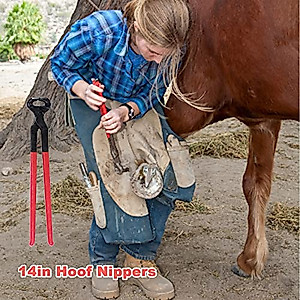 UJD Farrier Tools Professional Farrier Tool Kits Hoof Rasp Hoof Nippers Hoof Knife Horses Hoof Trimmers Tools Suitable for Hoof Trimming for Horses/Donkeys Rasp Hoof Cutter Set