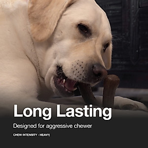 Hero Bonetics Noisy Joint Bone - Promotes Healthy Teeth, Gums and Mind - Wood Scented - for Small Dogs