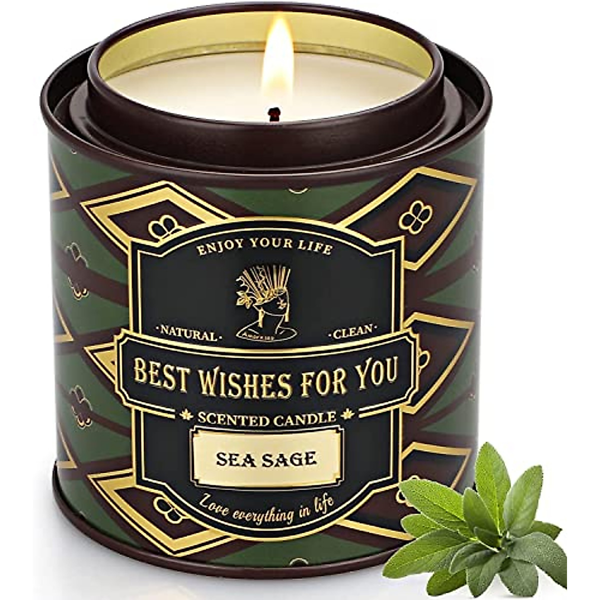 Sage Candles for Cleansing House, 10 oz Candles for Home Scented, 70 Hours Sage Candle for Meditation, Protection, Sage Candles for Cleansing House Negative Energy, Candles Gifts for Women