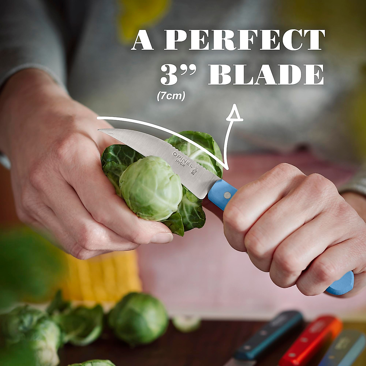 OPINEL Essential Single Kitchen Knife, Cooking Tool Bird's Beak Knife, Veggie Knife, Painted Hornbeam Wood Handles, Made in France (No. 114, Blue)