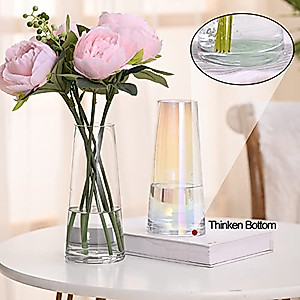 WellSign Clear Glass Vases for Flowers Decor, 8 Inch Modern Ins Boho Handmade Vases for Centerpiece Table Home Indoor Decor, Ins Boho Style Vase for Wedding Housewarming and Thanksgiving Day Gift