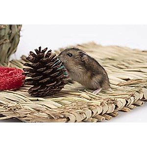 PStarDMoon Bunny Grass Bed-Hand Made Edible Natural Grass Hideaway Comfortable Playhouse for Rabbits, Guinea Pigs and Small Animals to Play,Sleep and Eat(style1)
