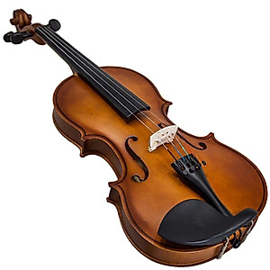 Paititi 4/4 Full Size Artist-100 Student Violin Starter Kit with Brazilwood Bow Lightweight Case, Shoulder Rest, Extra Strings and Rosin